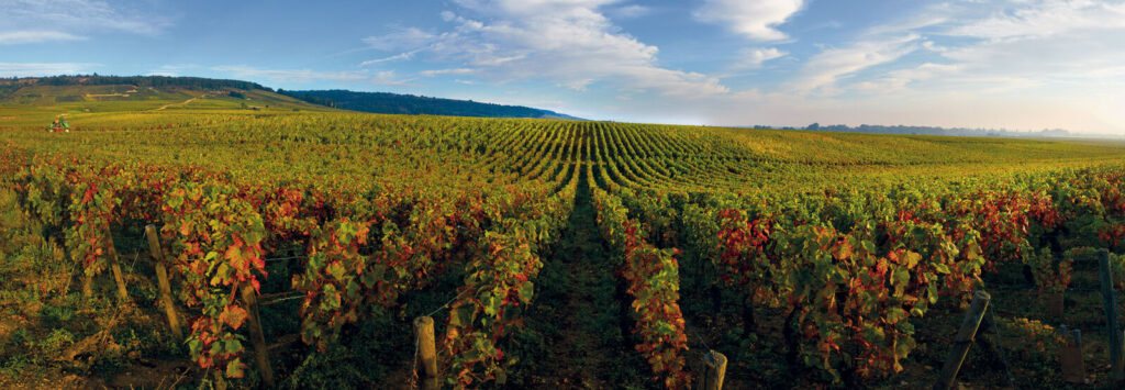 Le Grand Tasting Pro » Domaine Pascale Rion Delhautal